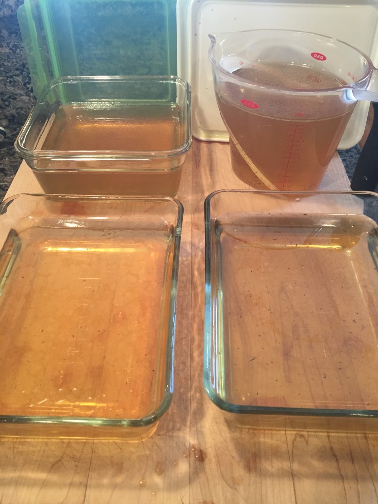 Surviving a Cold and Homemade Stock: It is easier than you think!